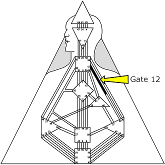 HUMAN DESIGN - CỔNG 12